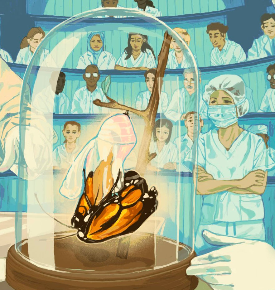 2024 Professions Seminar | Moodle