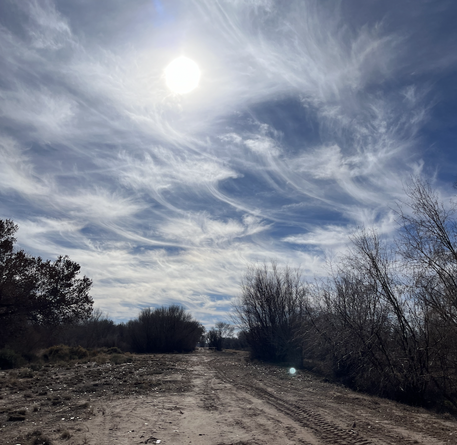 (2023-24 SU) PAX 540 A | Moodle