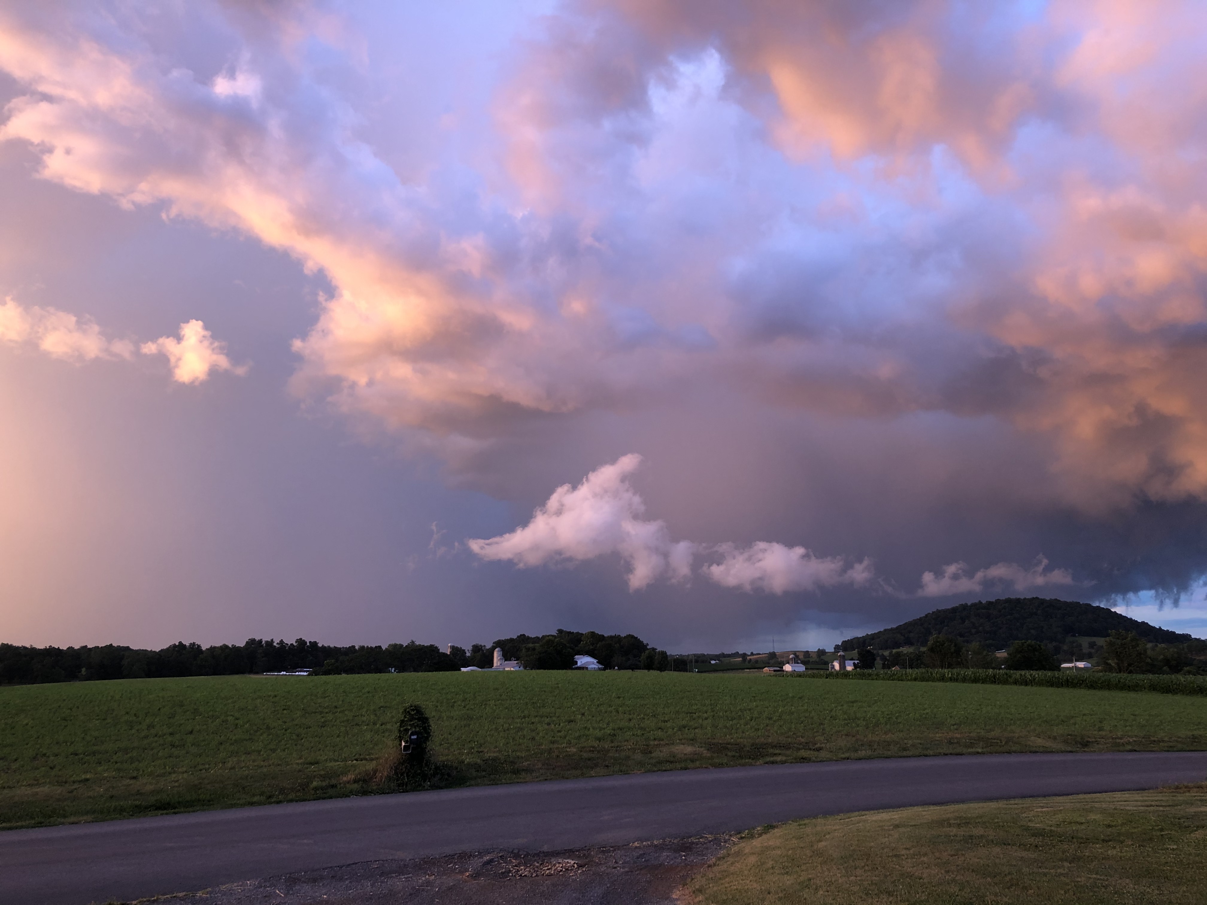 (2024-25 FA) PAX 533 A | Moodle