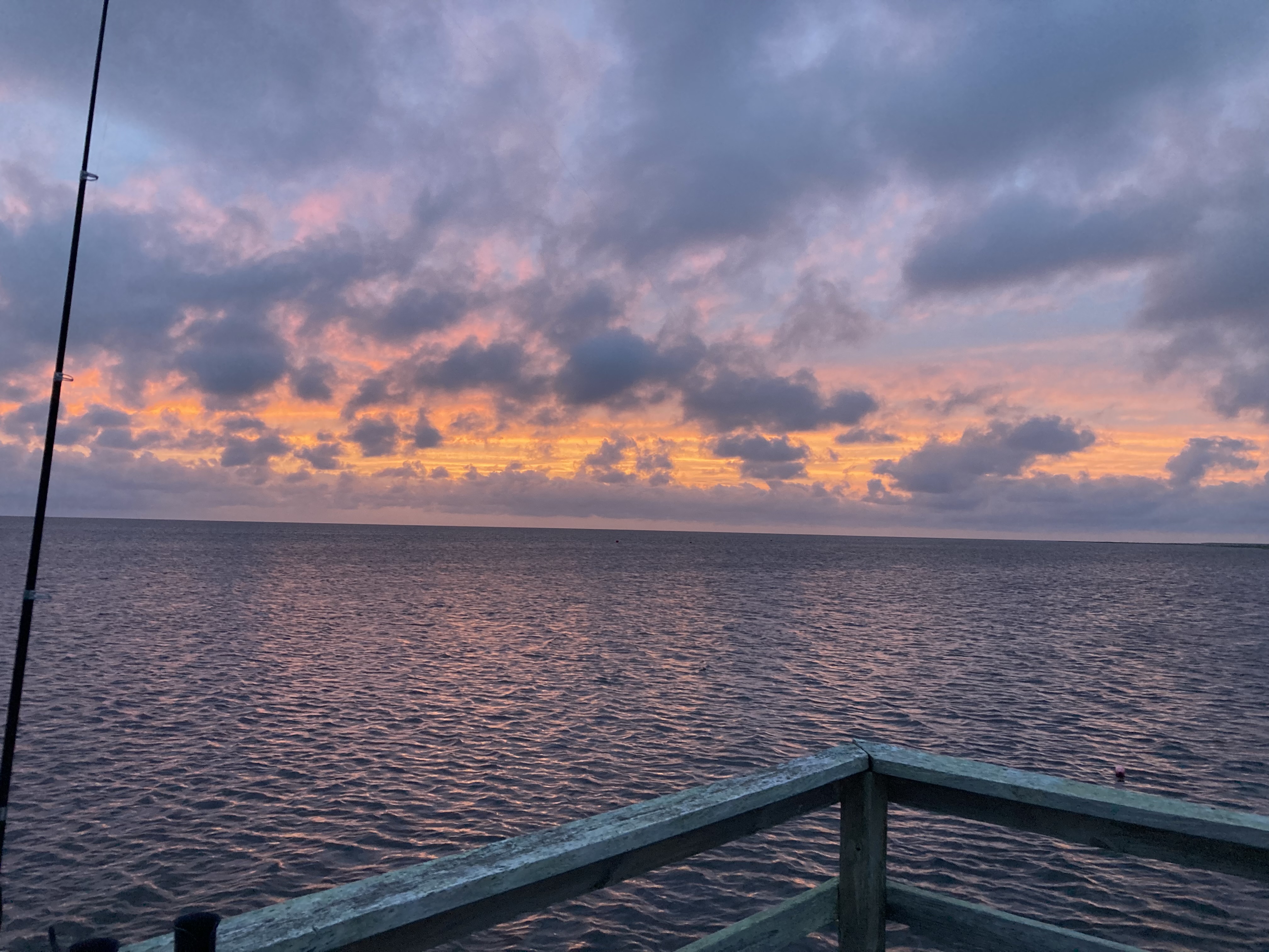 (2024-25 FA) WRIT 135 O | Moodle