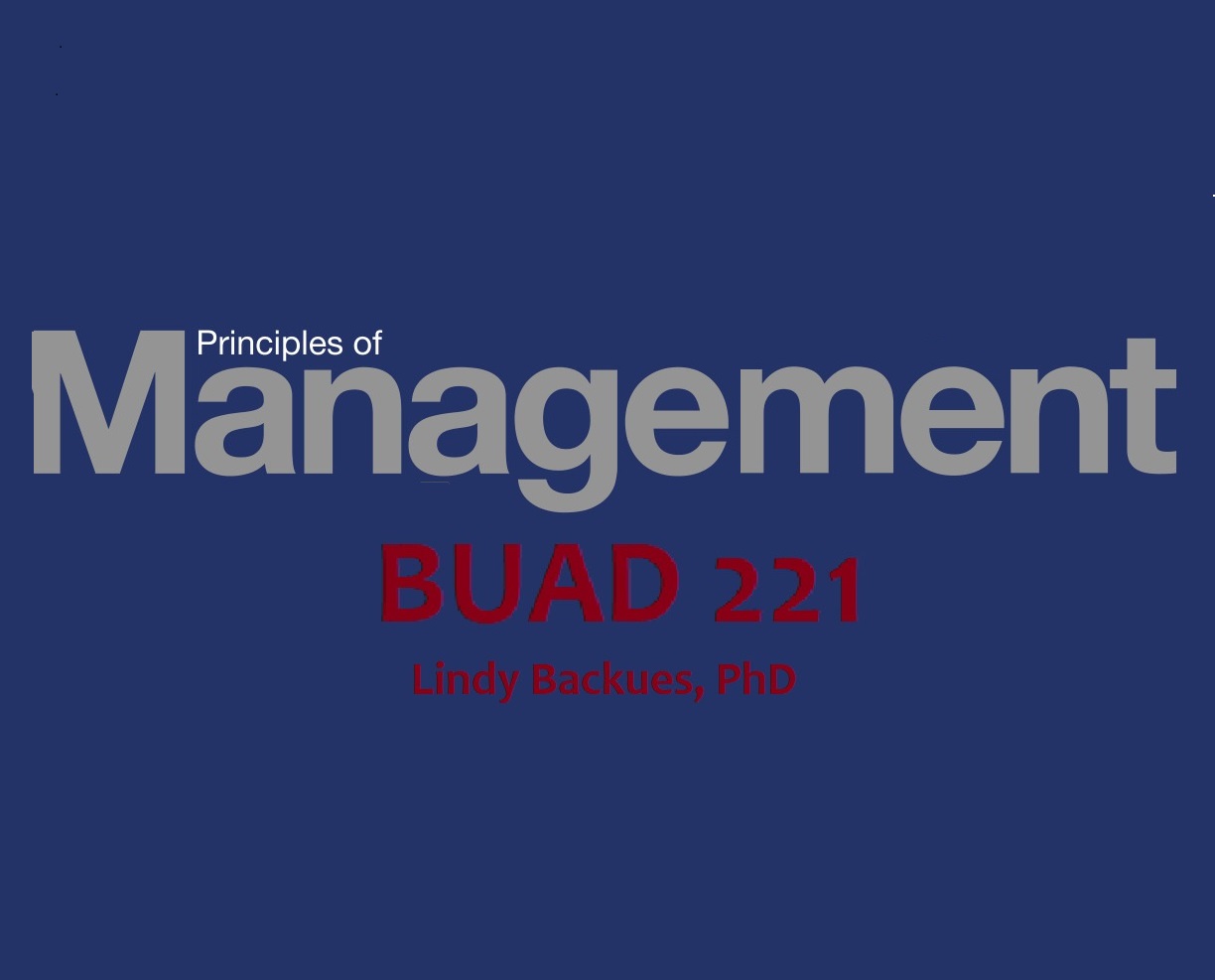 (2024-25 SP) BUAD 221 A | Moodle