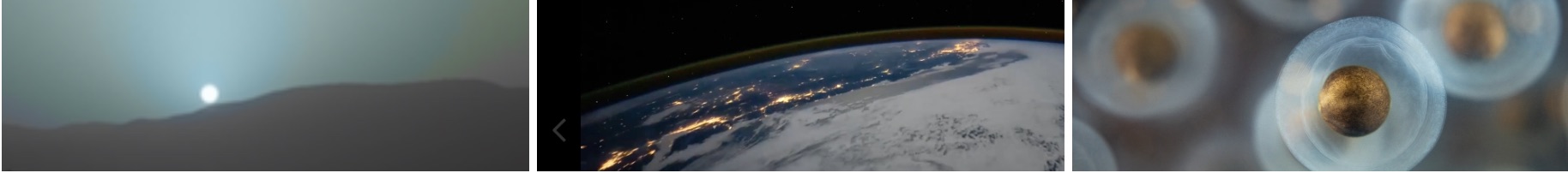 ENGL 312 (FA 25) | Moodle