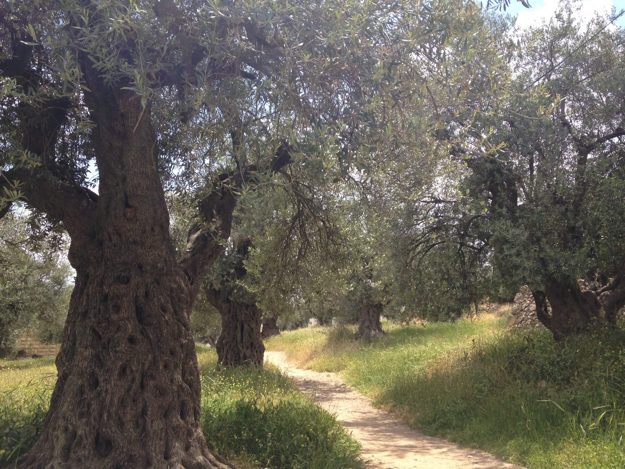 (2025-26 FA) HIST 432 A | Moodle