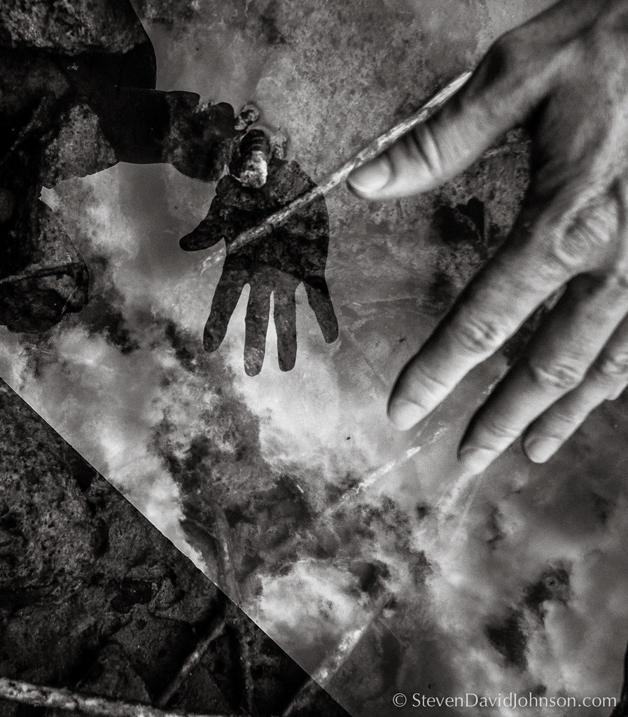 (2022-23 SP) VACA 151 A | Moodle